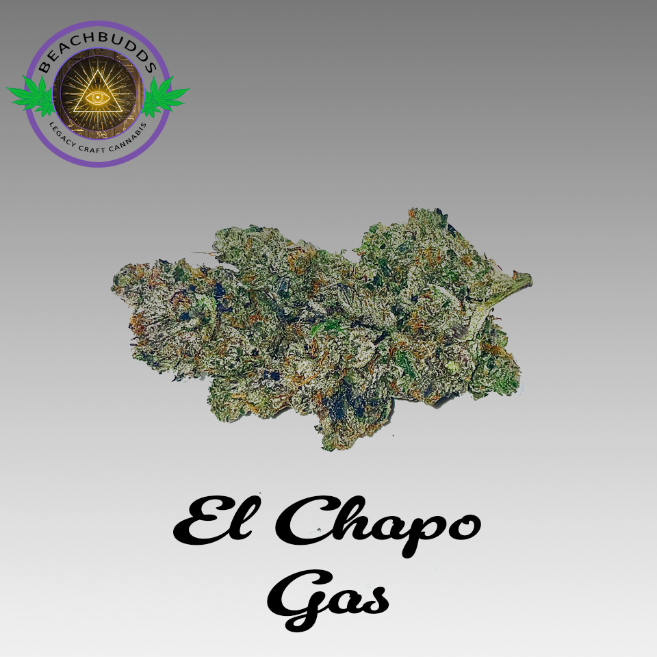 El Chapo Gas (Indica) – Beach Budds